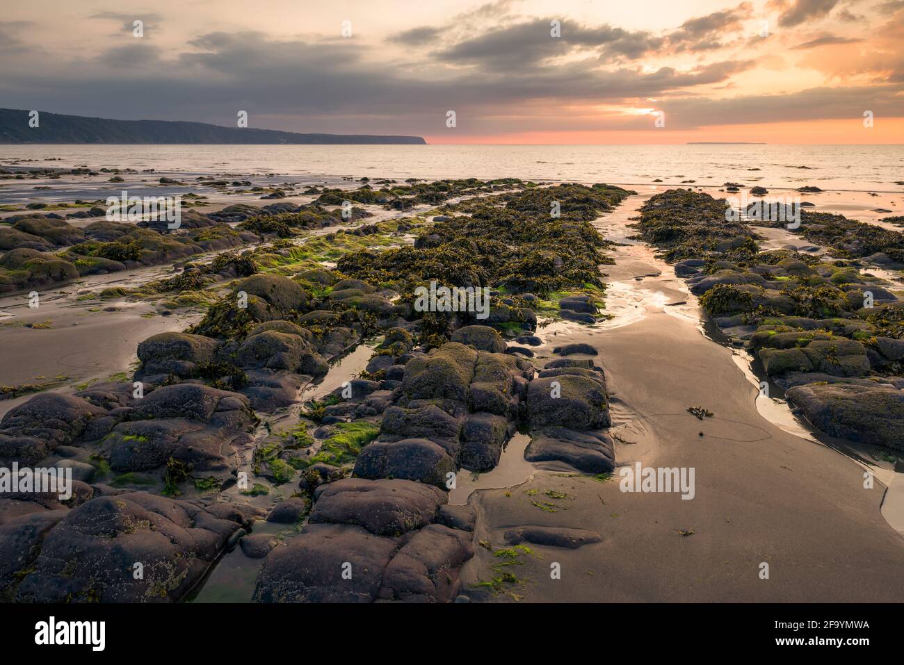 Peppercombe beach, devon hi-res stock photography and images - Alamy