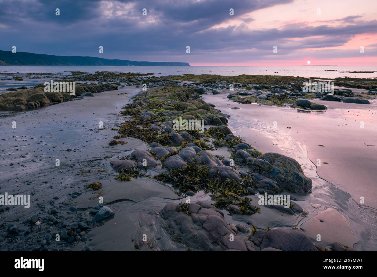Peppercombe beach at sunset on the North Devon coast with Hartland ...