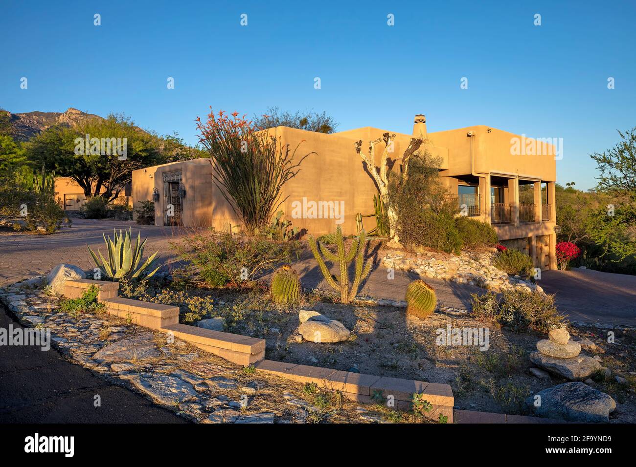 Desert landscaping hi-res stock photography and images - Alamy
