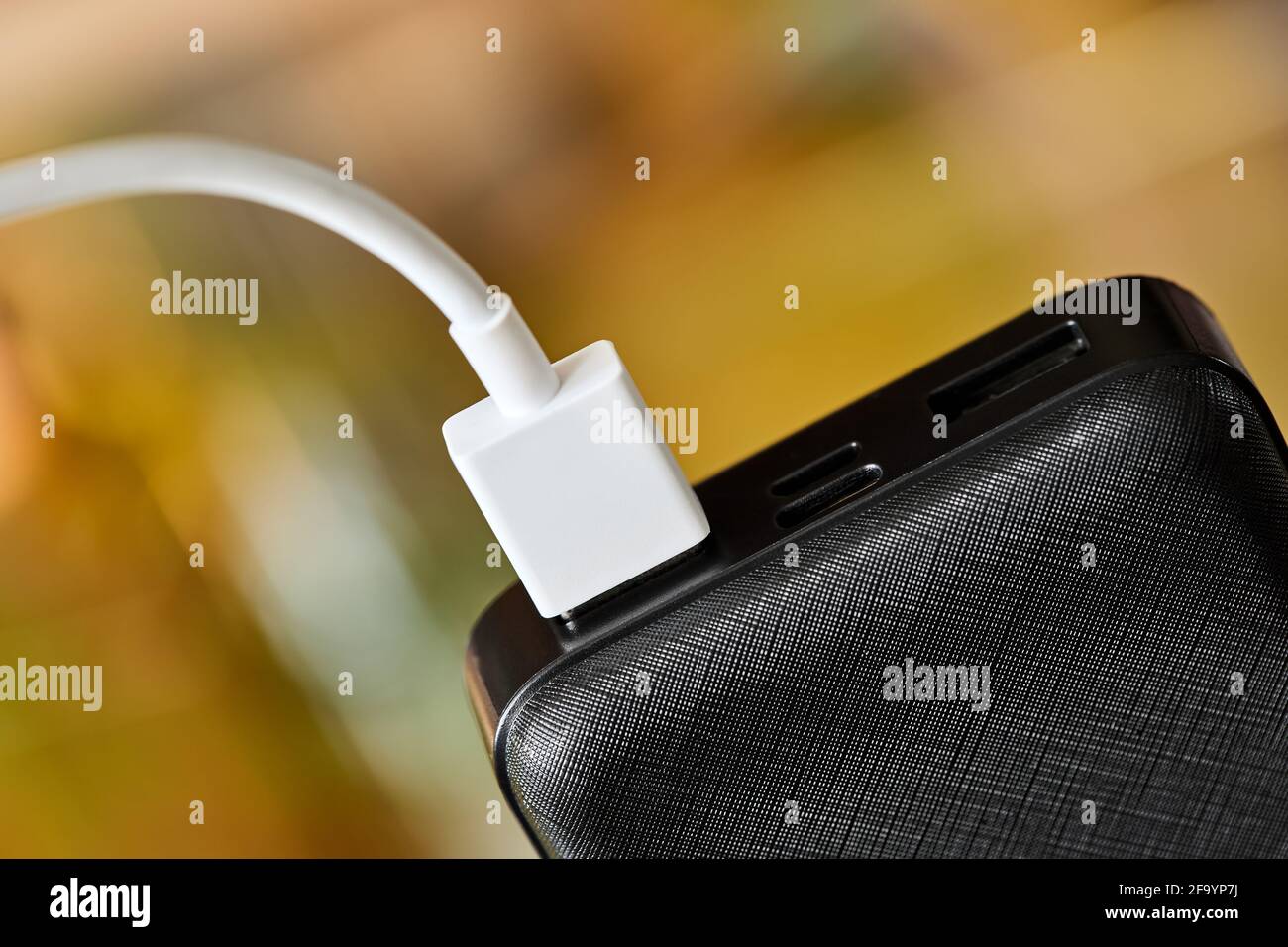 USB connector is connected to Power bank. Charging gadgets. Close-up ...