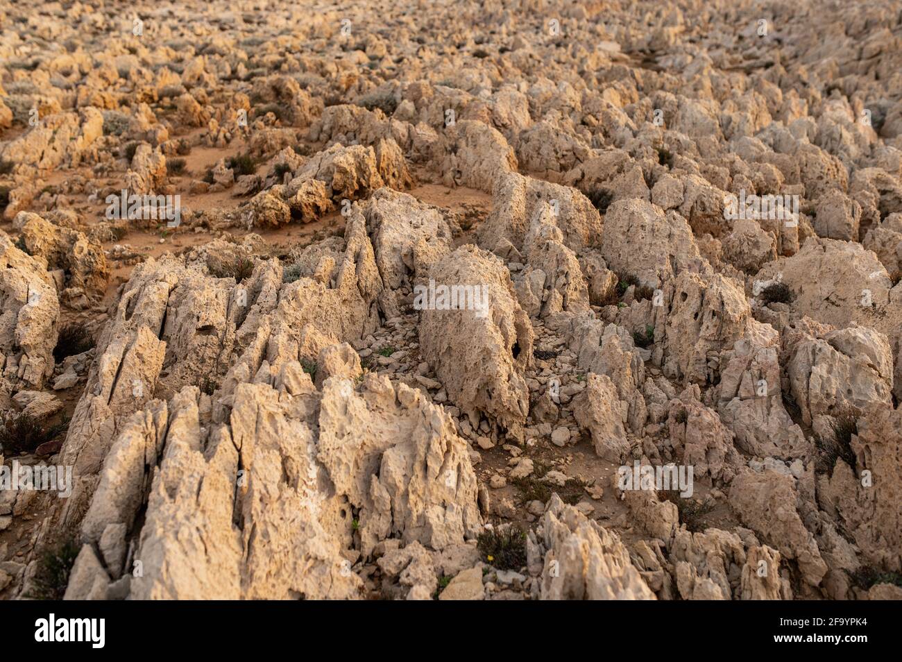 Rocky land hi-res stock photography and images - Alamy