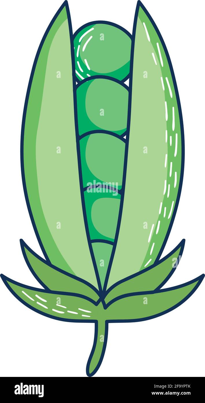 peas in a pod icon Stock Vector Image & Art - Alamy
