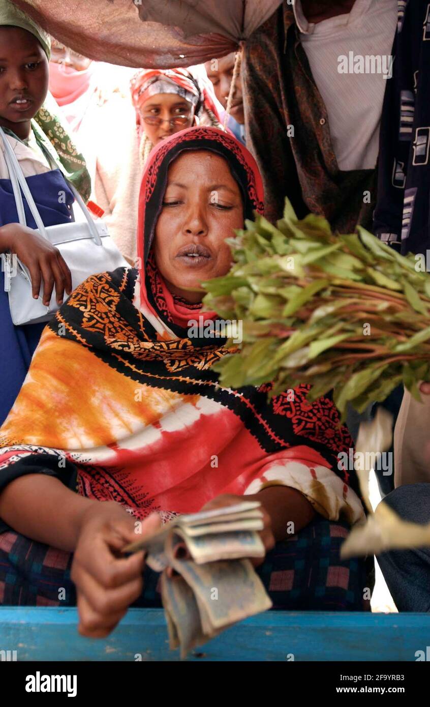 KHAT IS SOLD IN THE MARKET PLACE IN HARGEISA,THE CAPITAL OF SOMALILAND ...