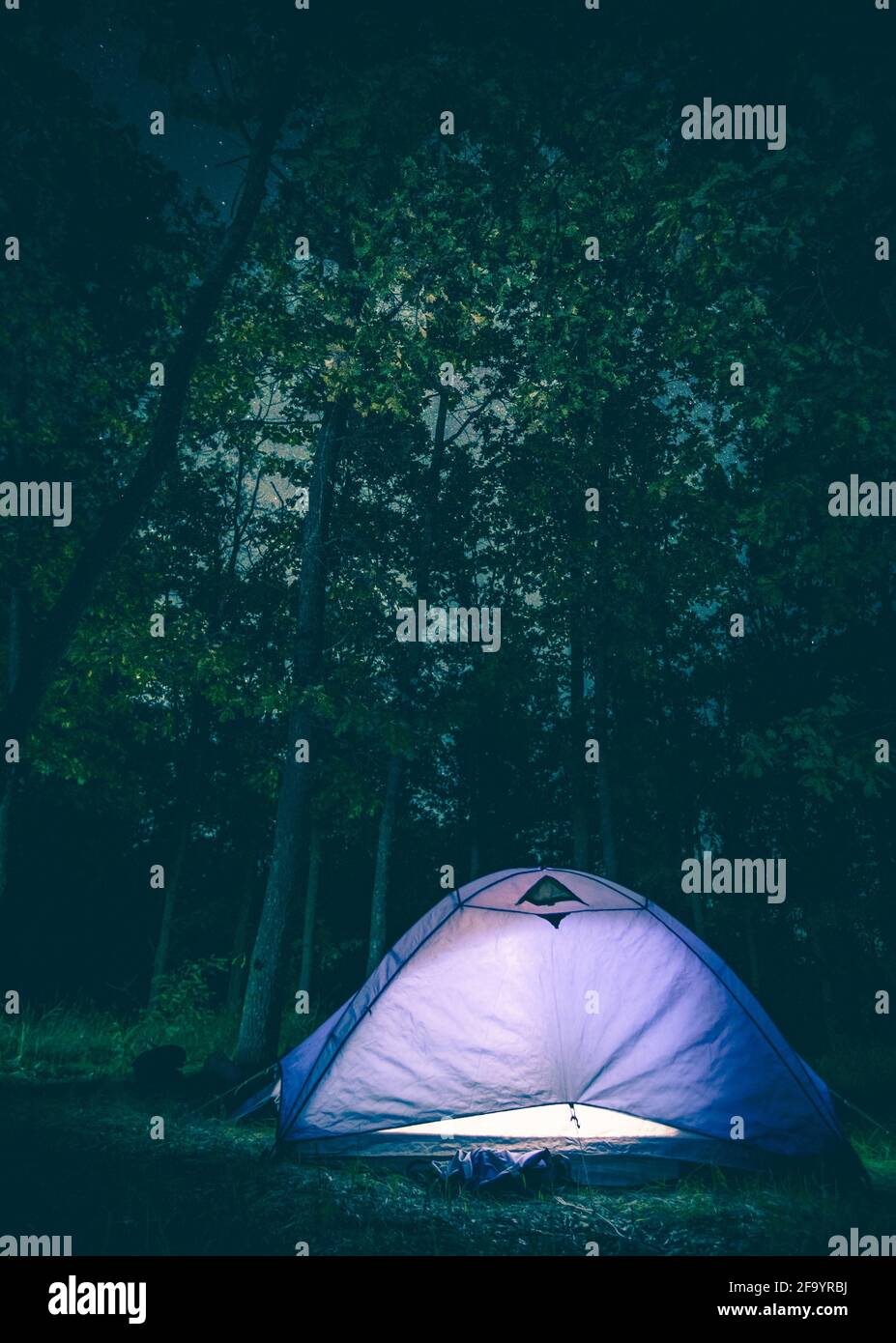 Tent night forest shadow hi-res stock photography and images - Alamy