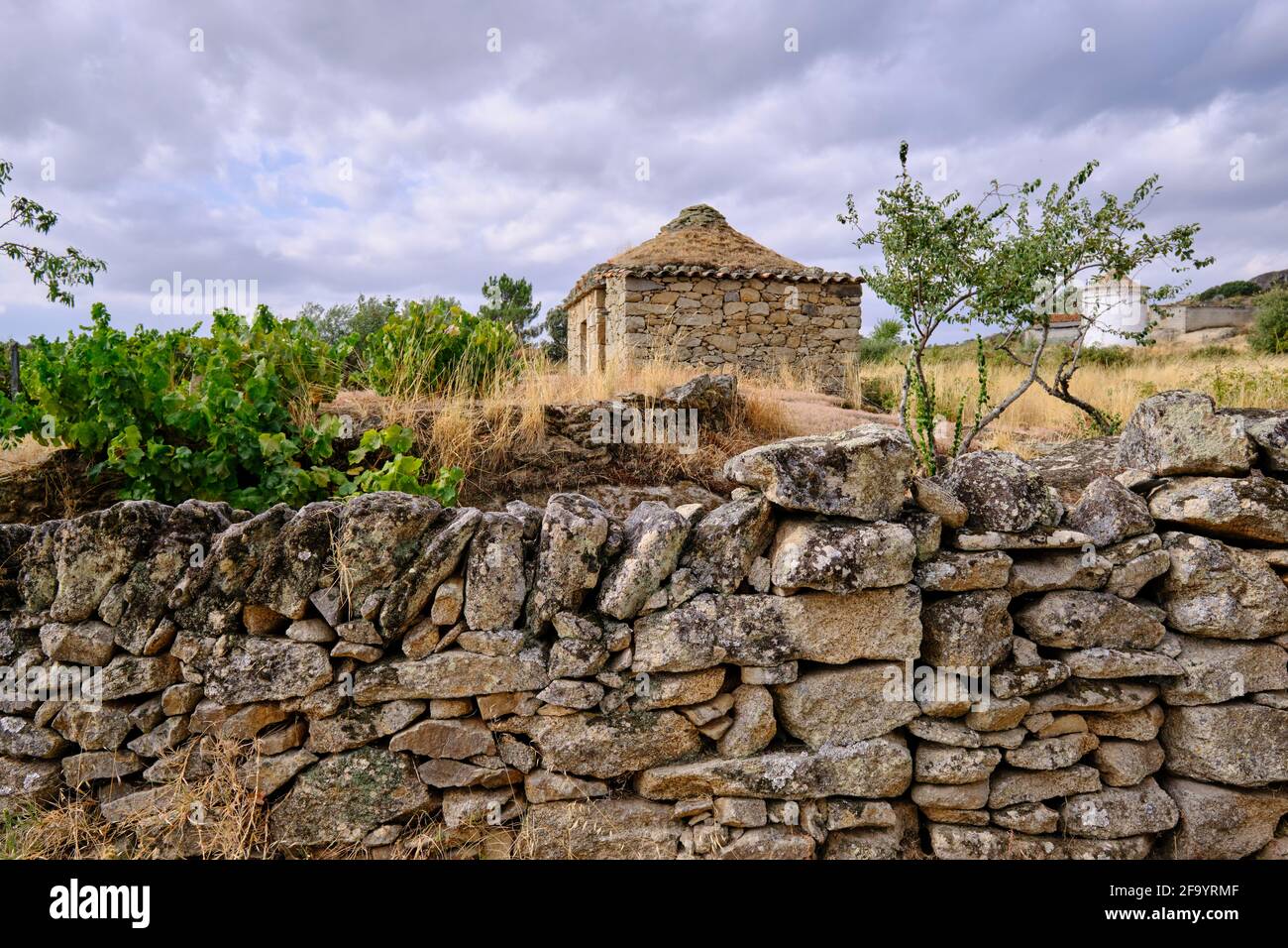 Stone, walls of stone, houses of stone, stone everywhere. Escalhao ...