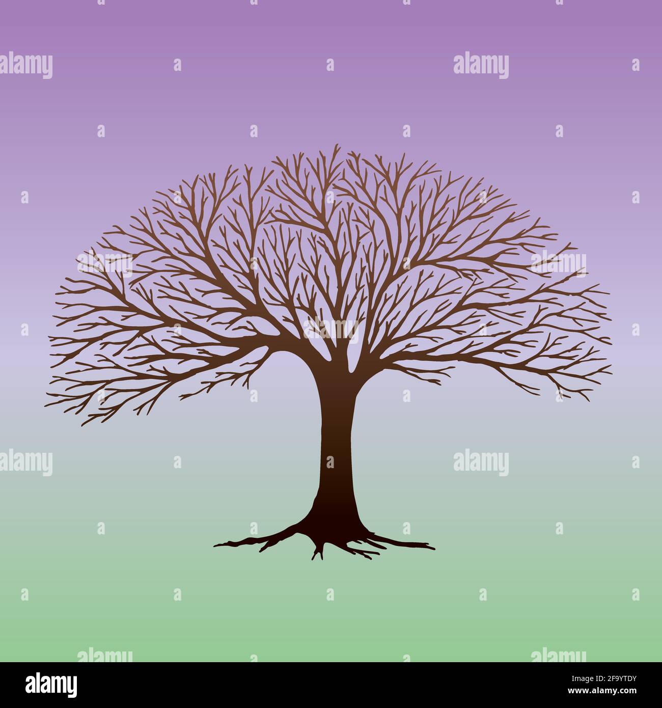 Tree without leaves vector hi-res stock photography and images - Alamy