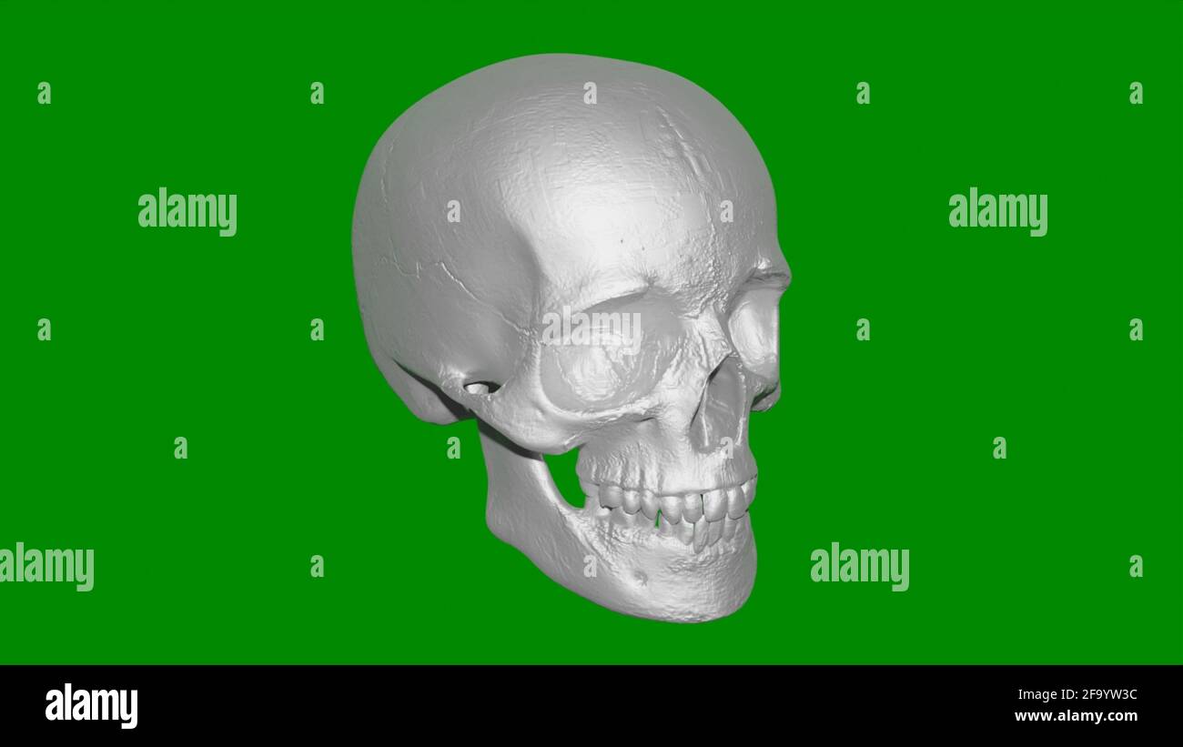 Illustration Of A Red Skull On A Green Background Stock Photo Alamy illustration-of-a-red-skull-on-a-green-background-stock-photo-alamy