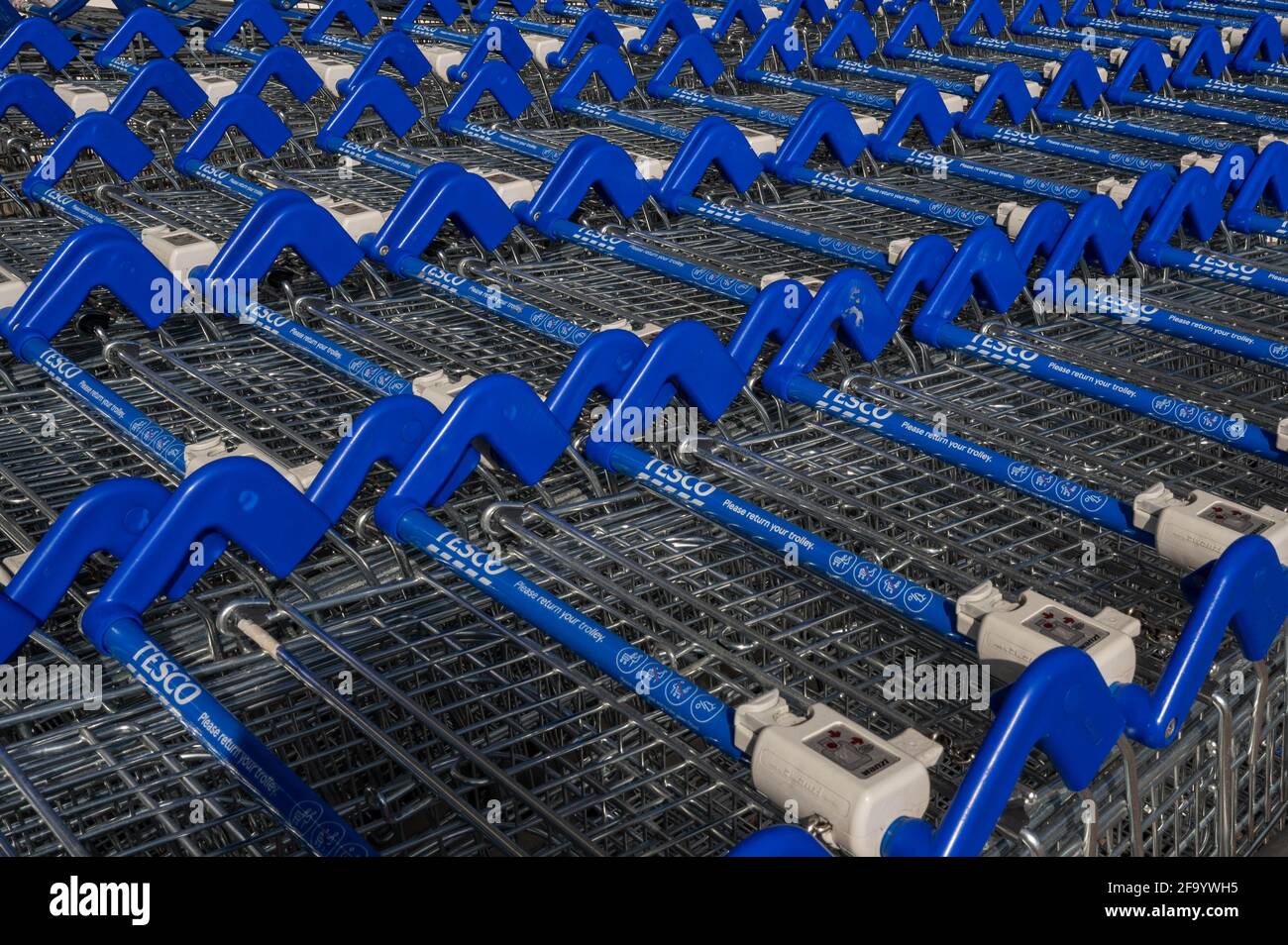 Several showing trolleys parked together in a line outside a Tesco ...