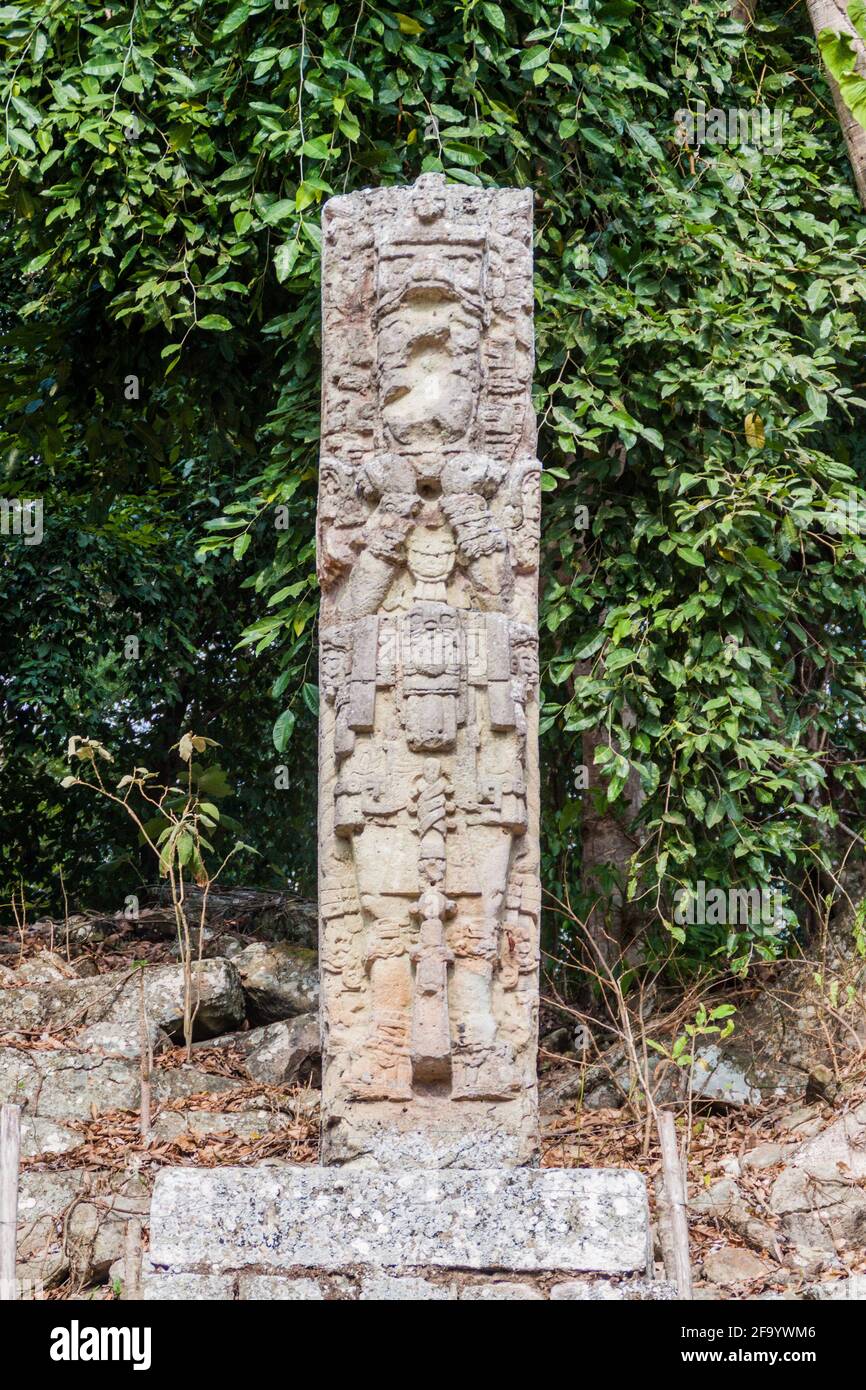 Stela at the archaeological site Copan, Honduras Stock Photo - Alamy