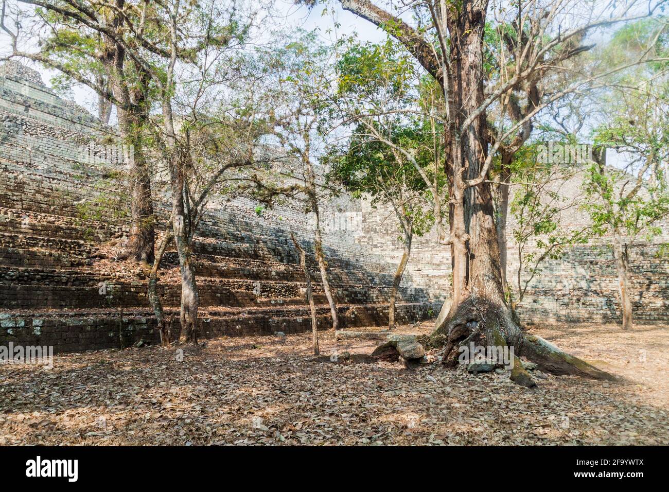 Copan ruins art hi-res stock photography and images - Alamy