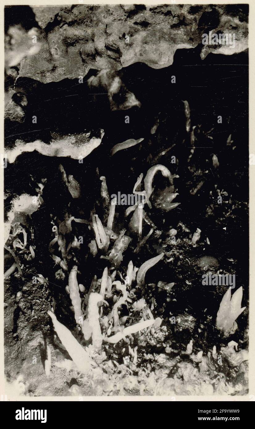 Strange stalagmites, Grand-Roc cave, vintage photography, Les Eyzies ...