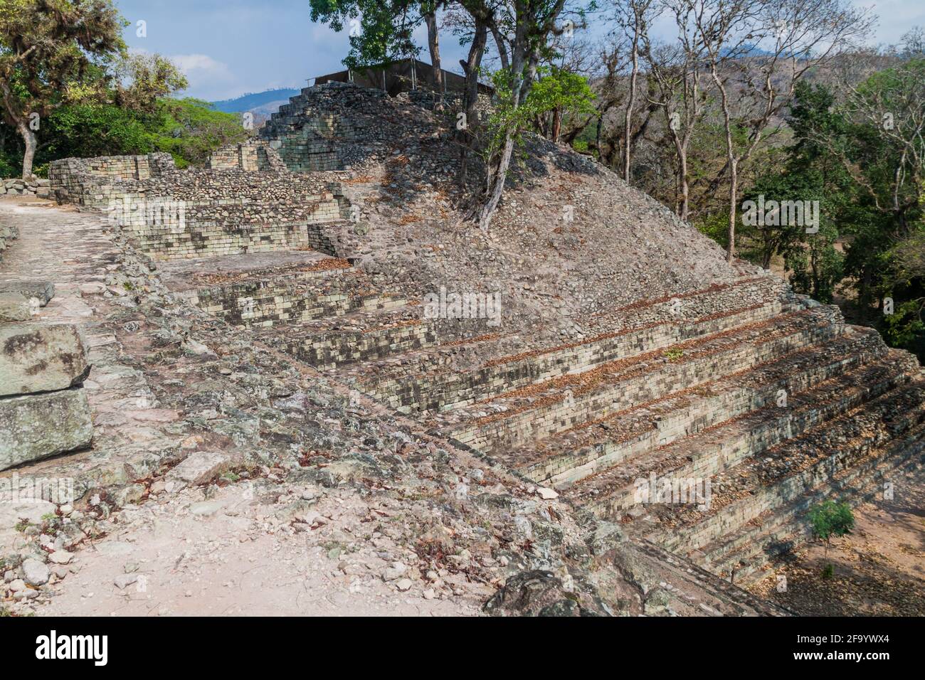 Ruins at copan honduras hi-res stock photography and images - Alamy