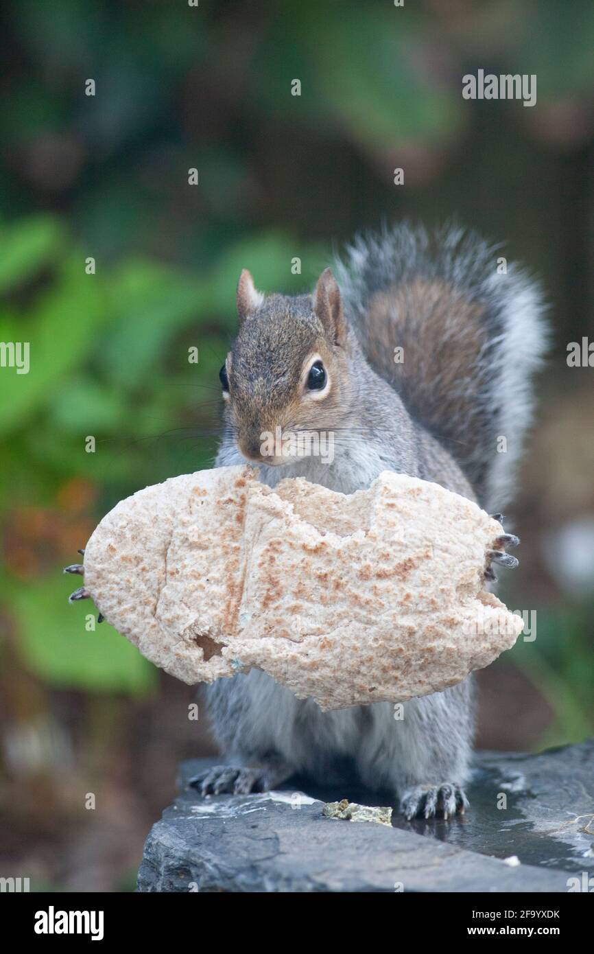 Weather and seasons, Clapham, UK, 21 April 2021: in spring sunshine a ...
