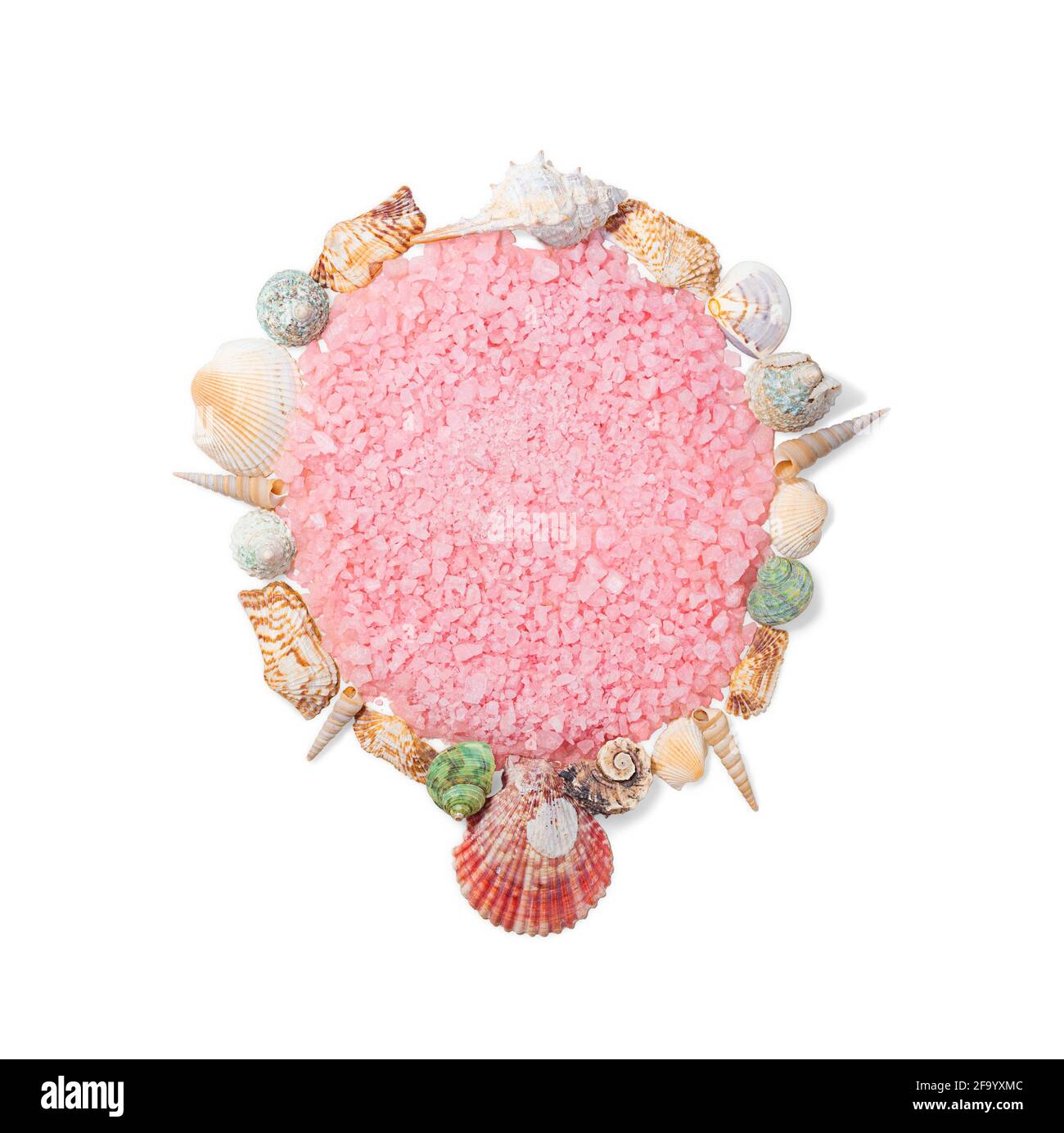 Seashell circle hi-res stock photography and images - Alamy