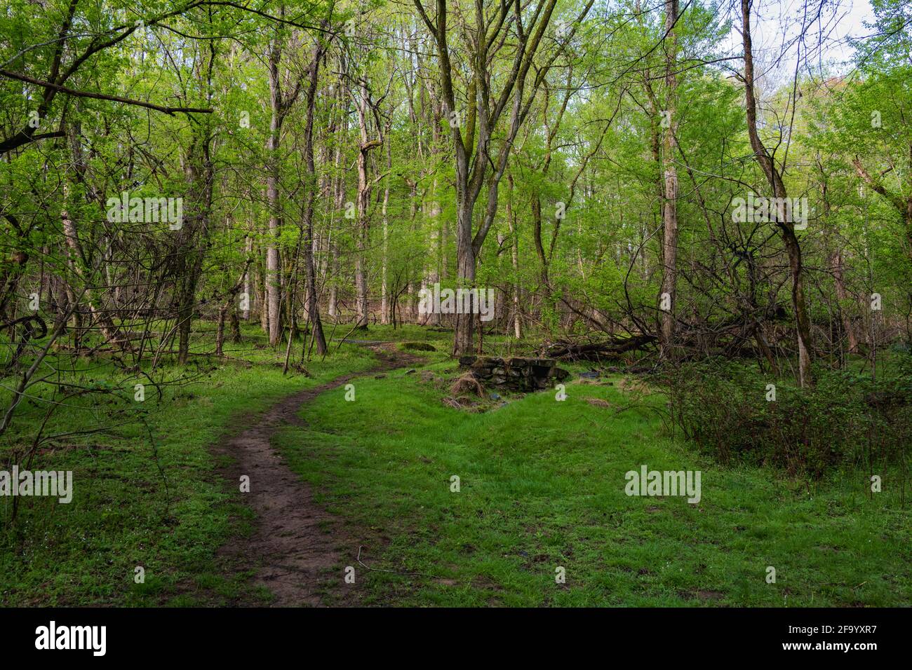 Curved path in park landscape hi-res stock photography and images - Alamy
