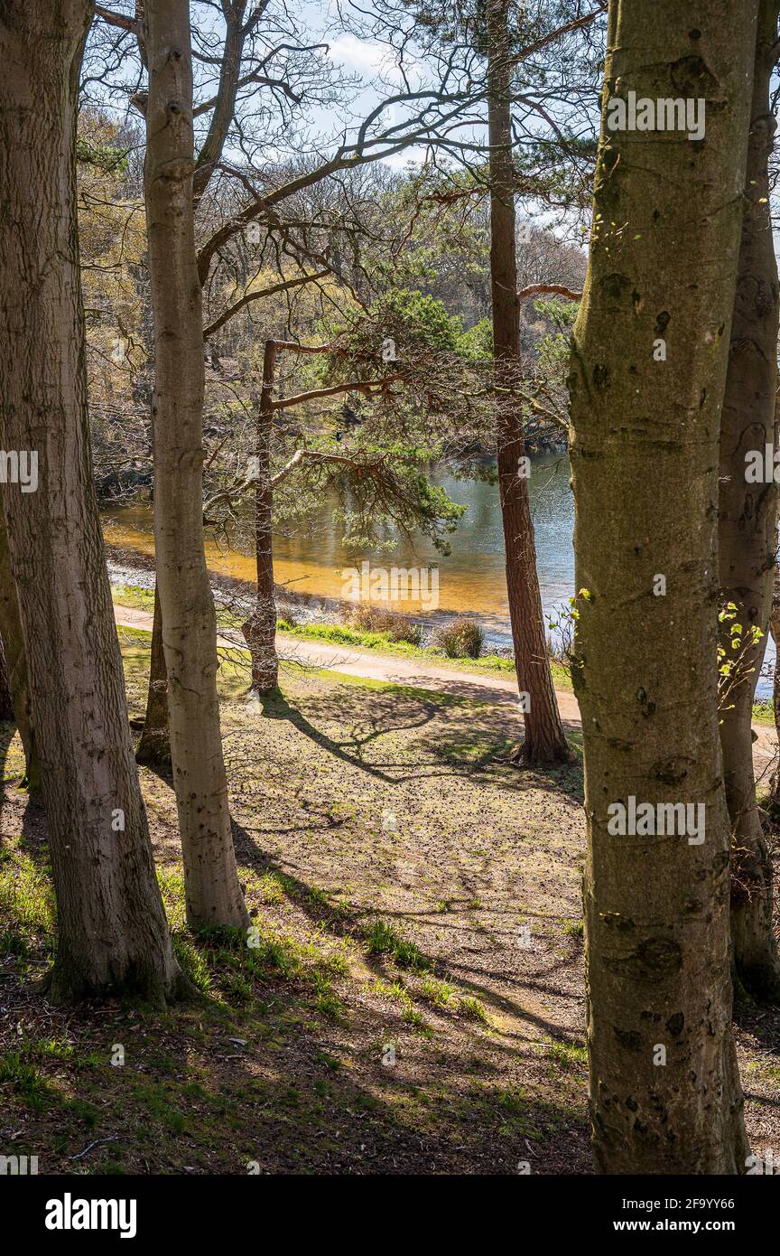 Views on a walk around Talkin Tarn Country Park Stock Photo - Alamy