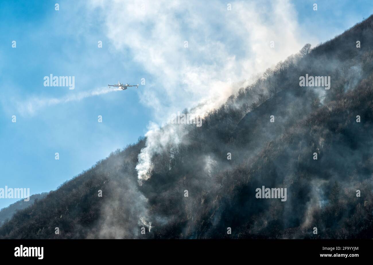 Fire fighting aircraft hi-res stock photography and images - Alamy