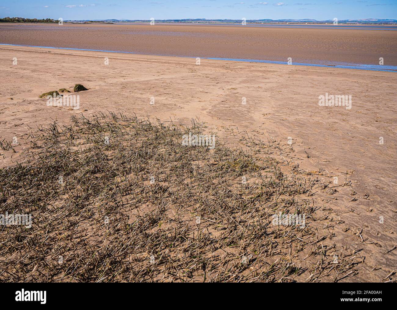 Sandy beach at low tide, Port Carlisle, Cumbria, England Stock Photo ...