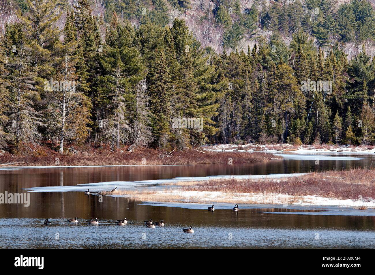 Spring landscape desktop backgrounds wallpapers hi-res stock ...