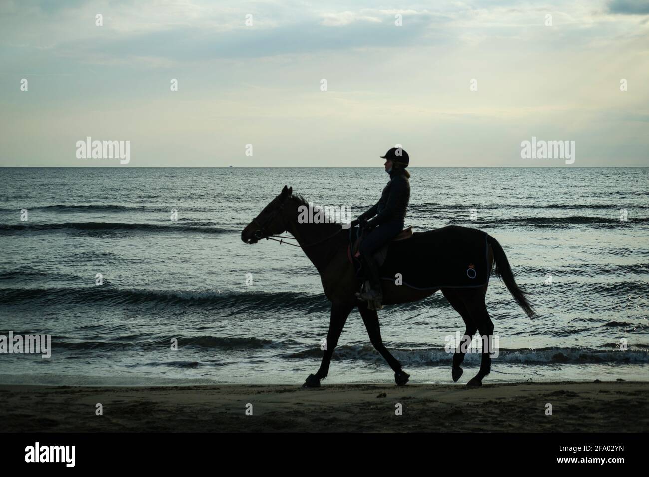 Female horse rider hi-res stock photography and images - Alamy