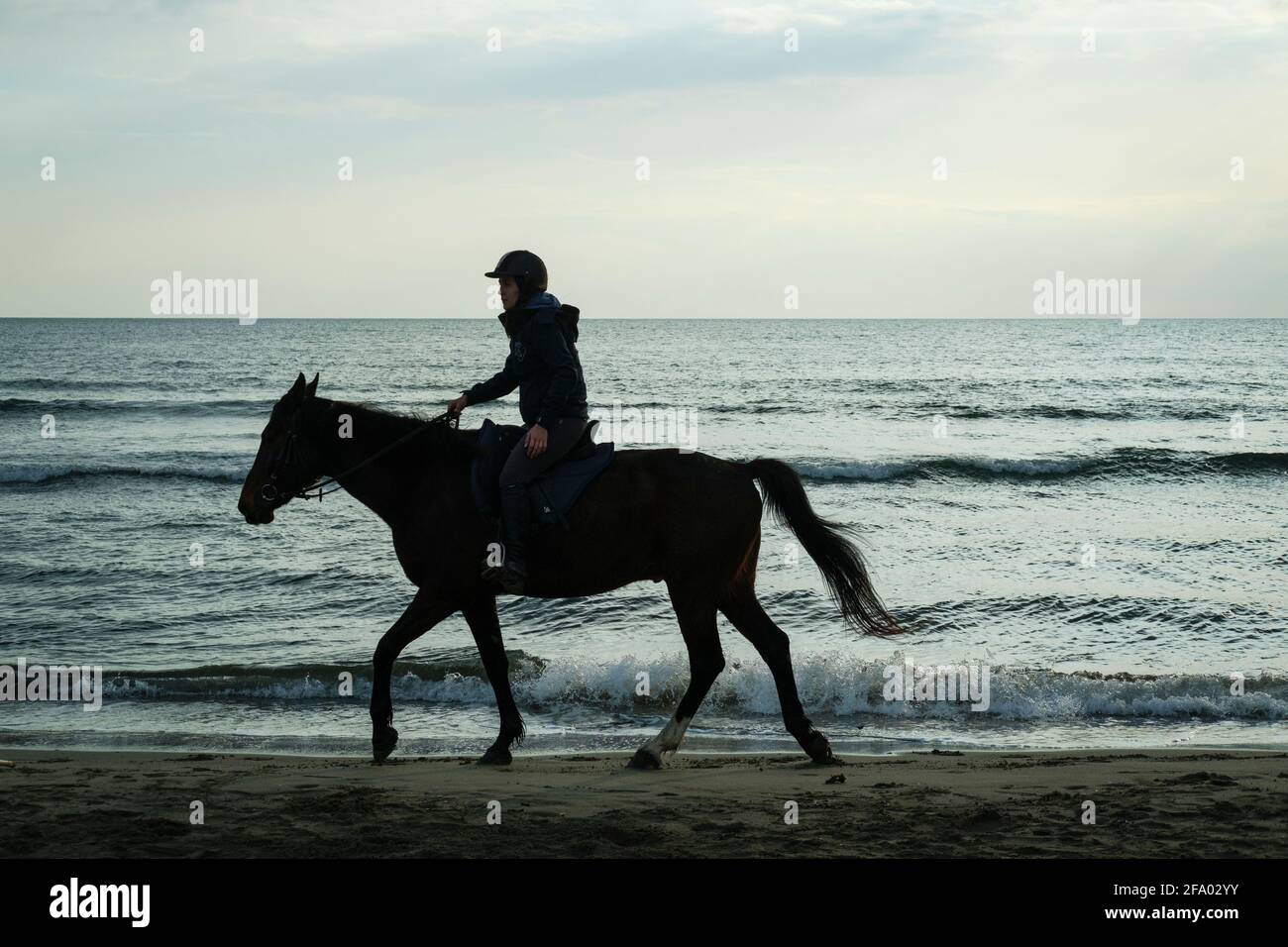 Female horse rider riding horse at sunset on the beach seafront at ...
