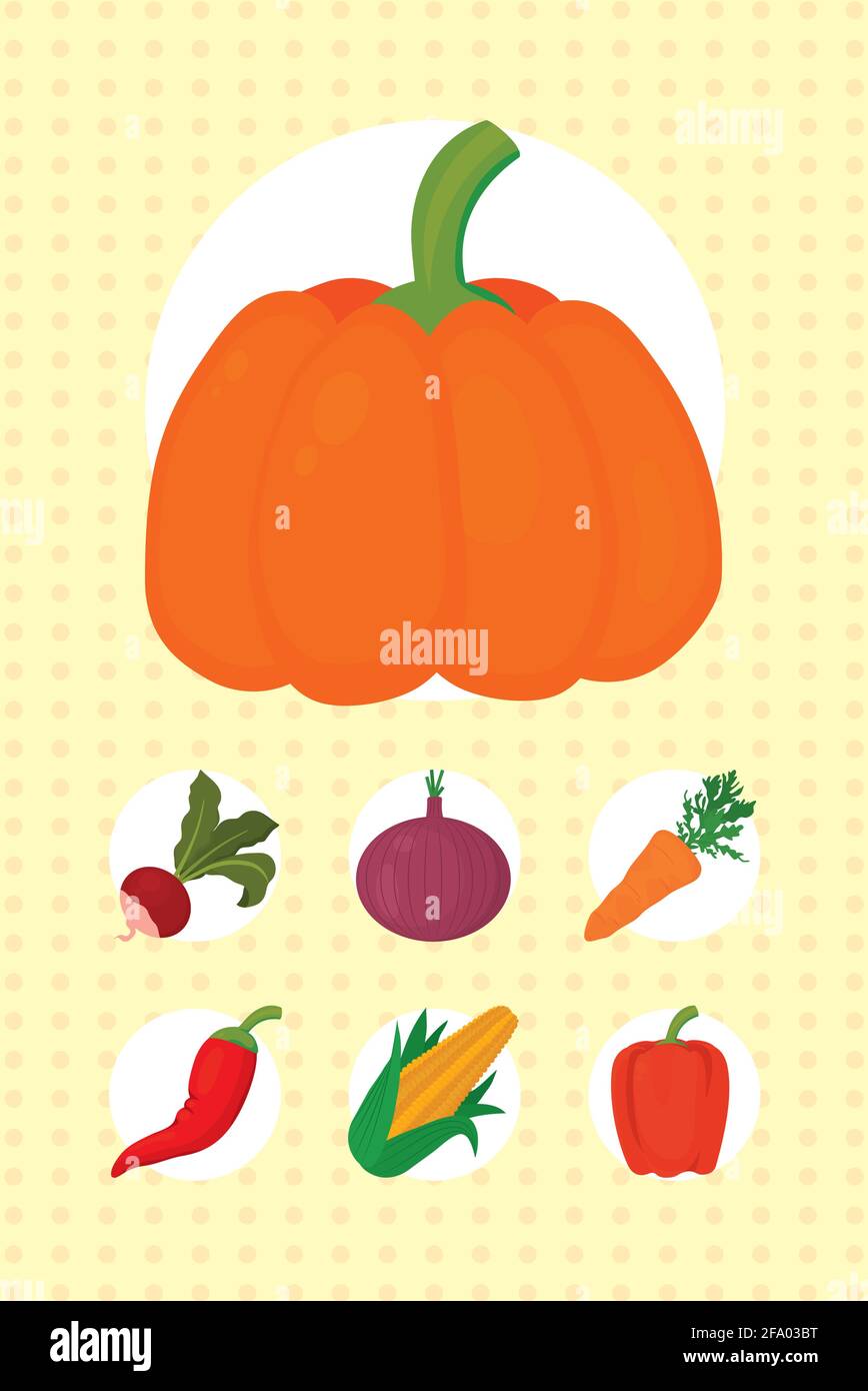 pumpkin and vegetables icons collection Stock Vector Image & Art - Alamy