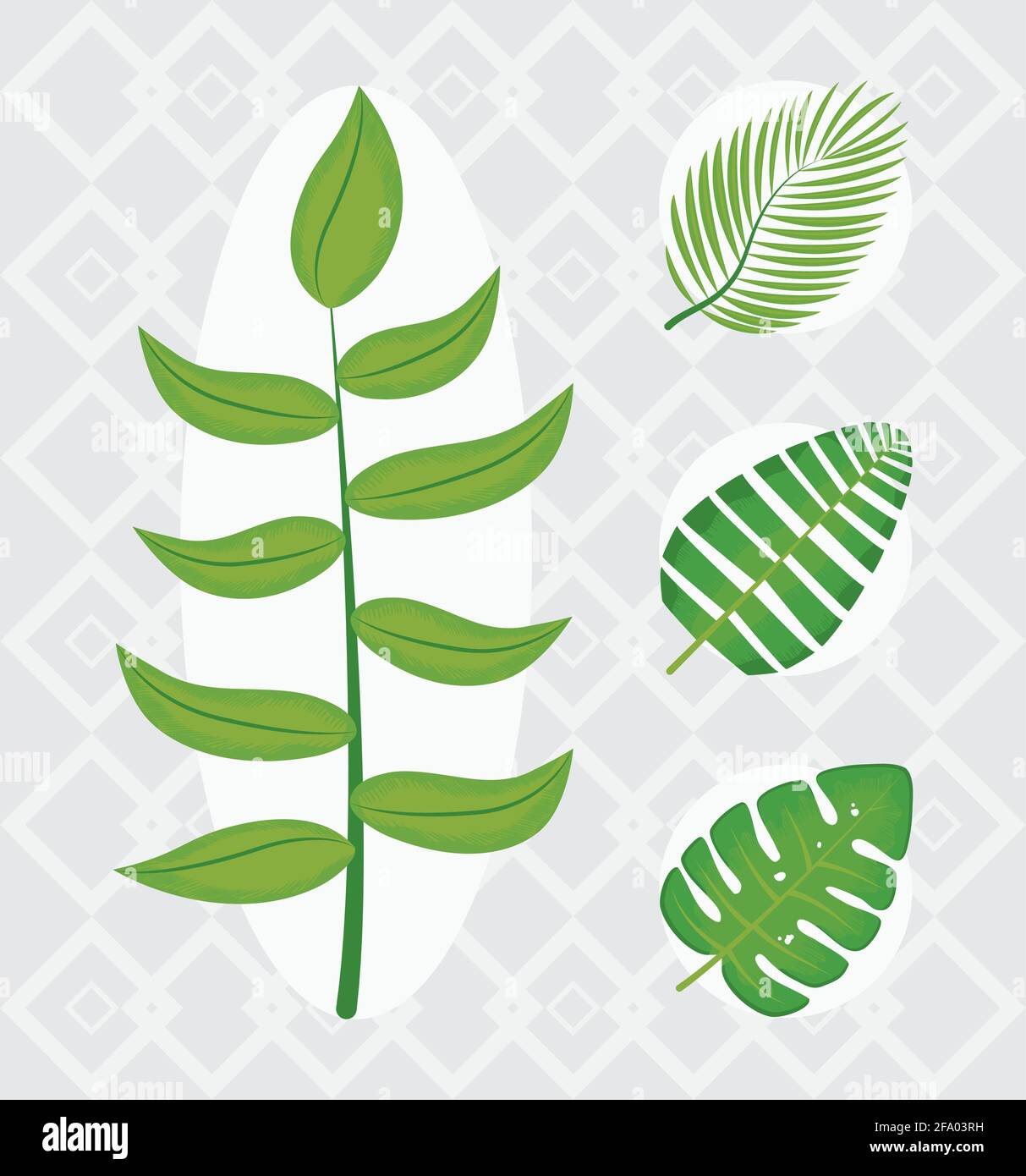 green tropical leaves icons collection Stock Vector Image & Art - Alamy