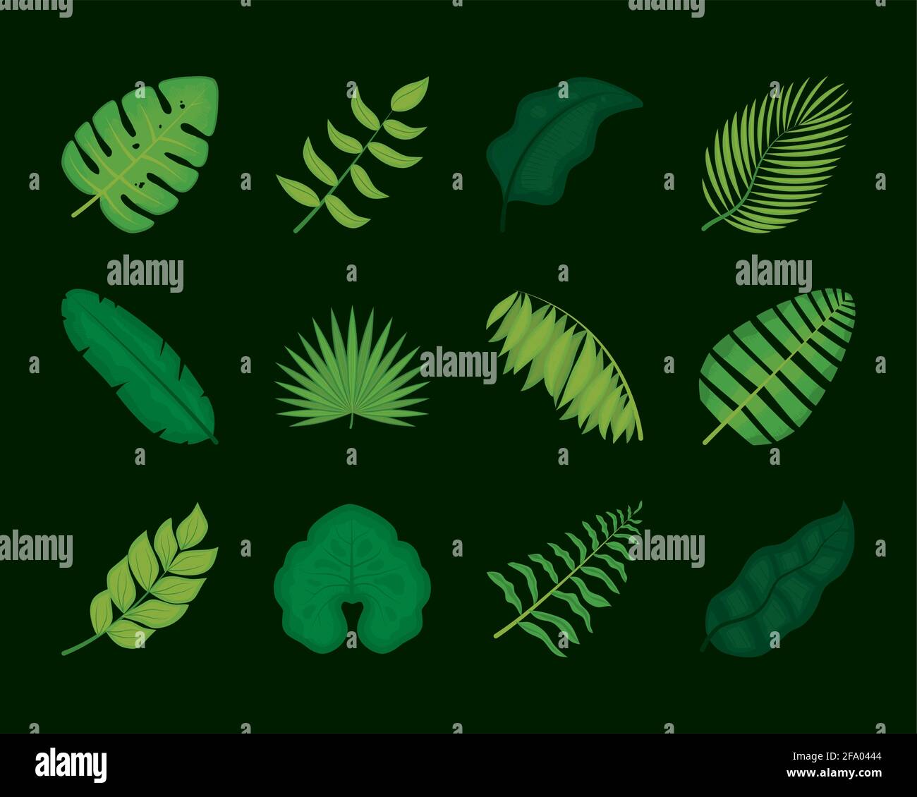 tropical palms leaves icon set Stock Vector Image & Art - Alamy