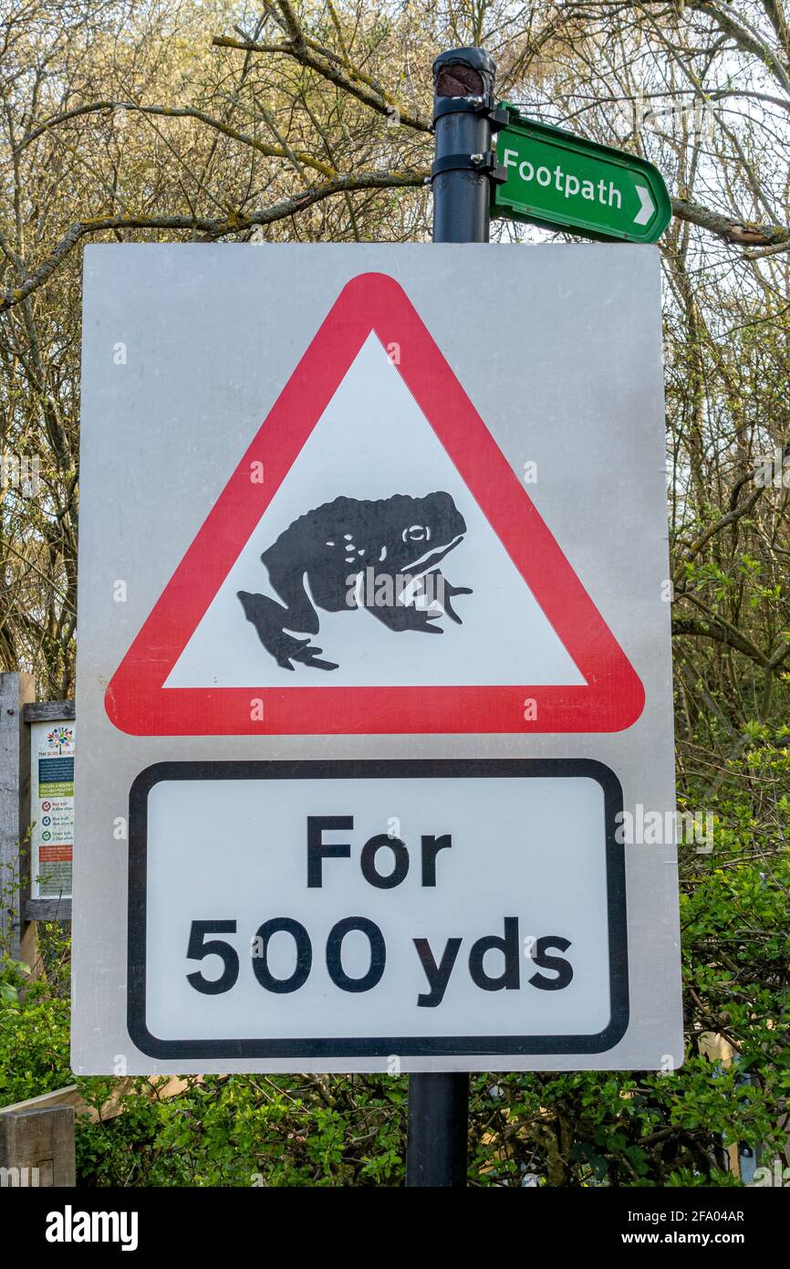 Frogs ahead road warning sign hi-res stock photography and images - Alamy