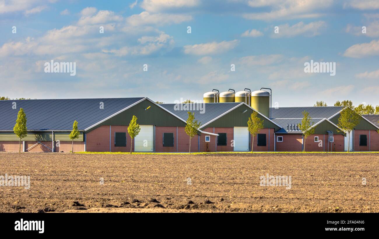 Large modern barn barns hi-res stock photography and images - Alamy