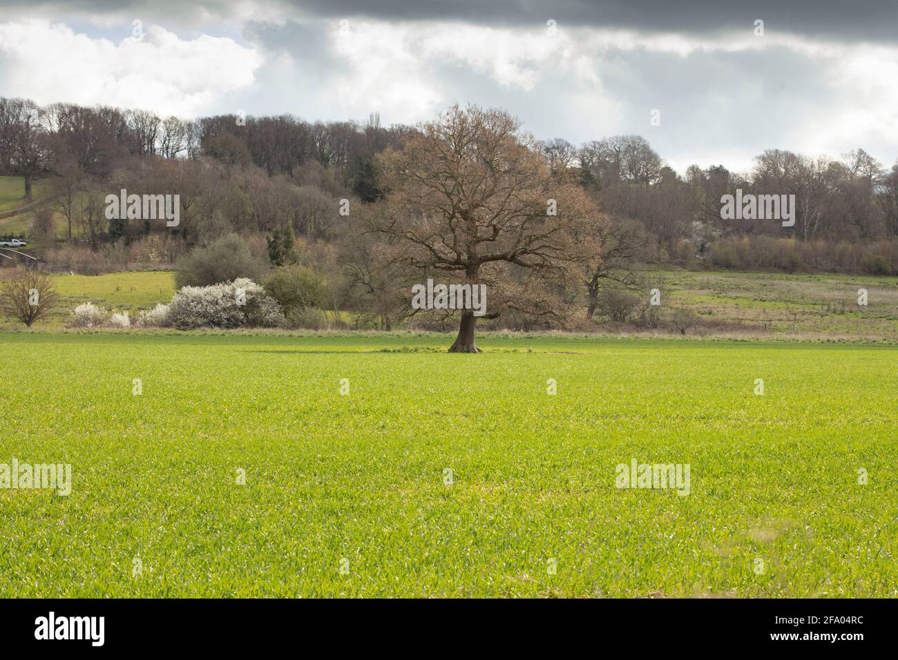 Geographic locatio hi-res stock photography and images - Alamy