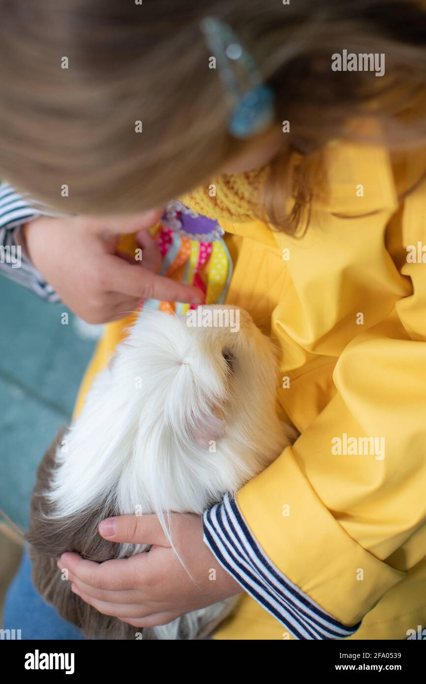 Animal petting at the farm, UK Stock Photo - Alamy