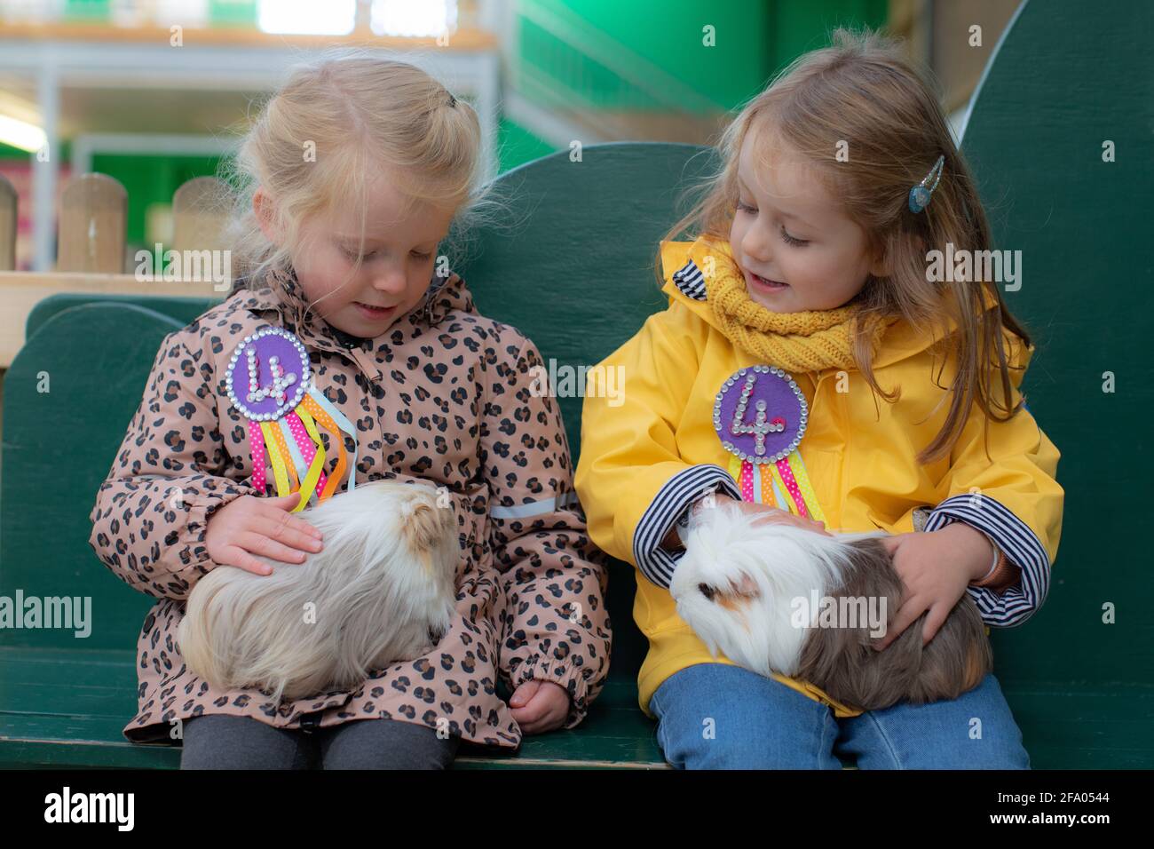 Animal petting at the farm, UK Stock Photo - Alamy