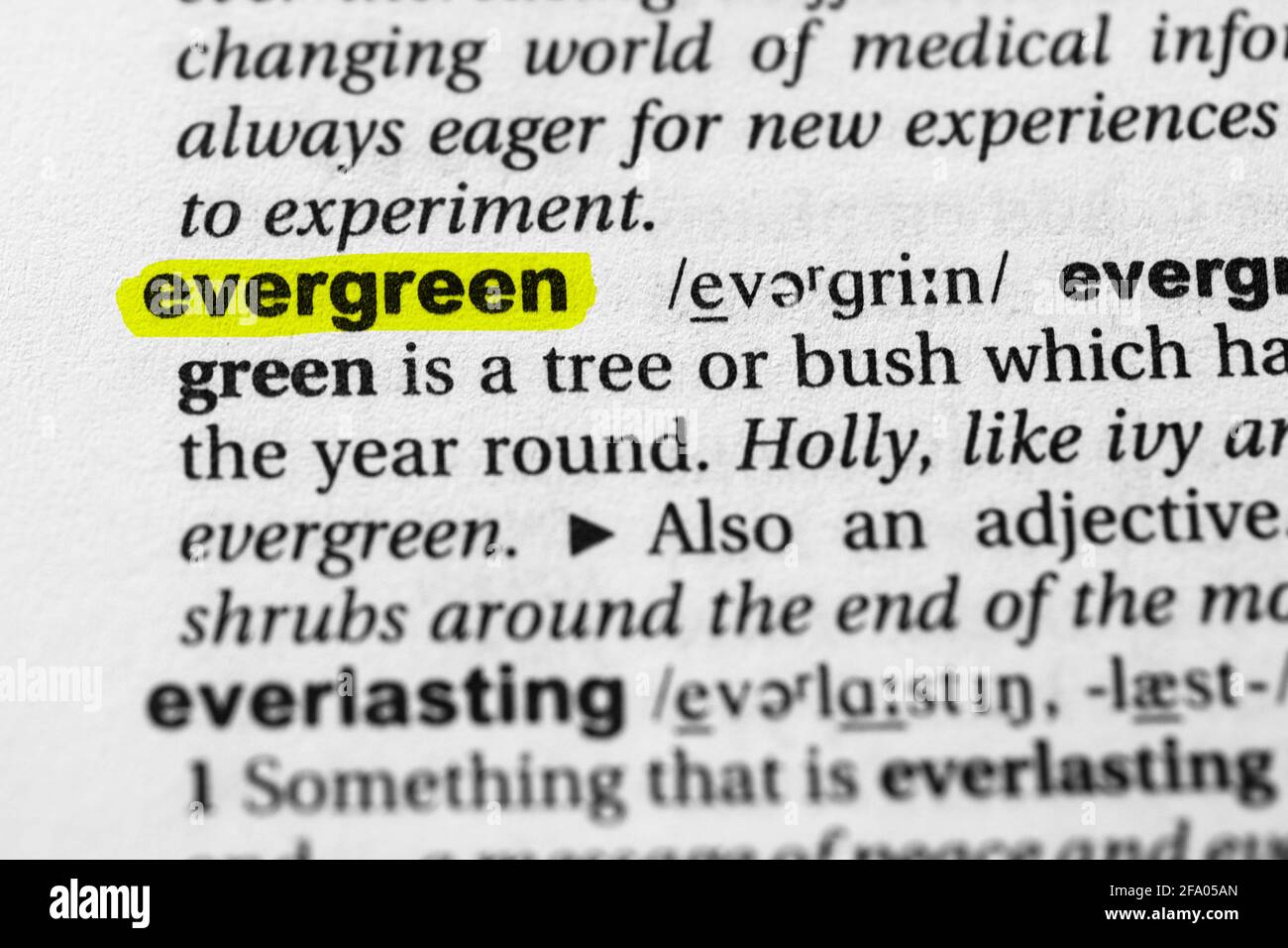 Highlighted word evergreen concept and meaning Stock Photo - Alamy
