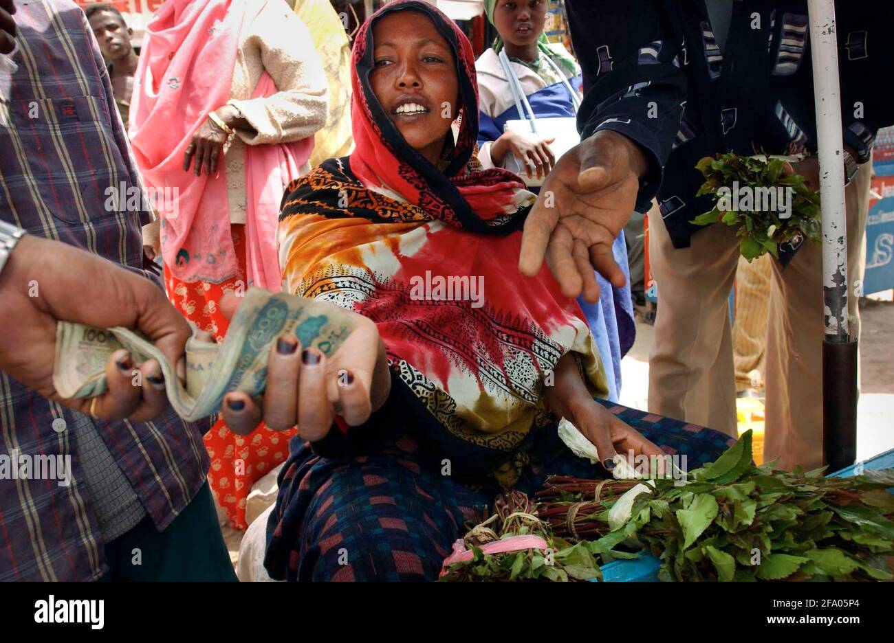 KHAT IS SOLD IN THE MARKET PLACE IN HARGEISA,THE CAPITAL OF SOMALILAND ...