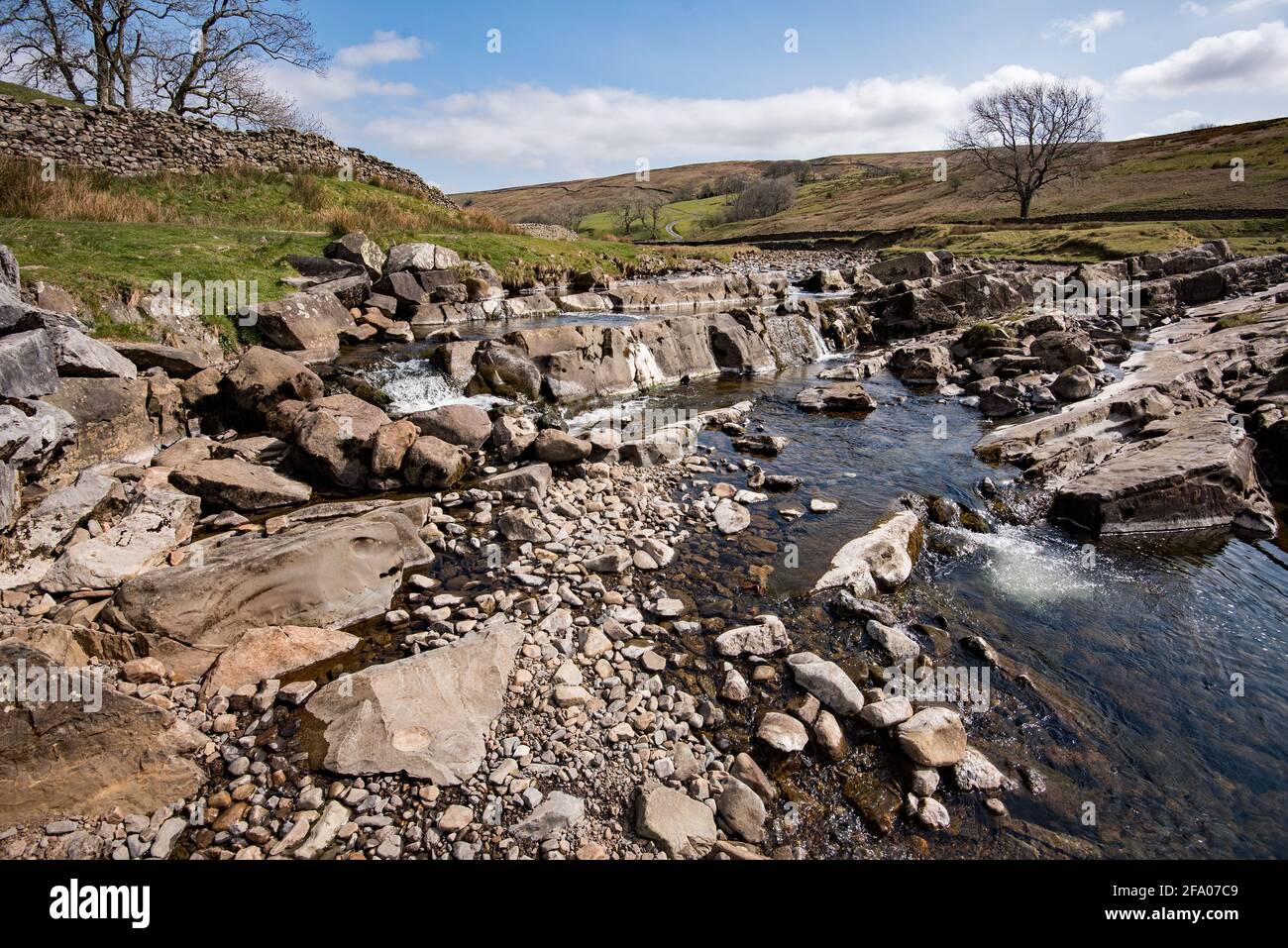 Barkin beck hi-res stock photography and images - Alamy