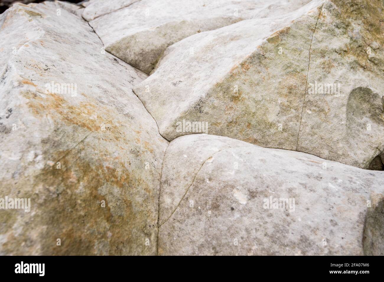 Barkin beck hi-res stock photography and images - Alamy