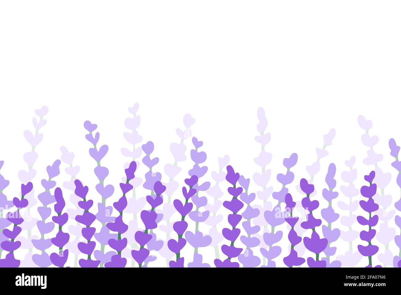 Lavender Border Design