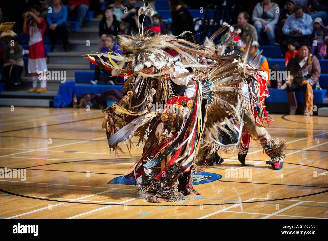 Indigenous Pow Wow Celebration Stock Photo - Alamy