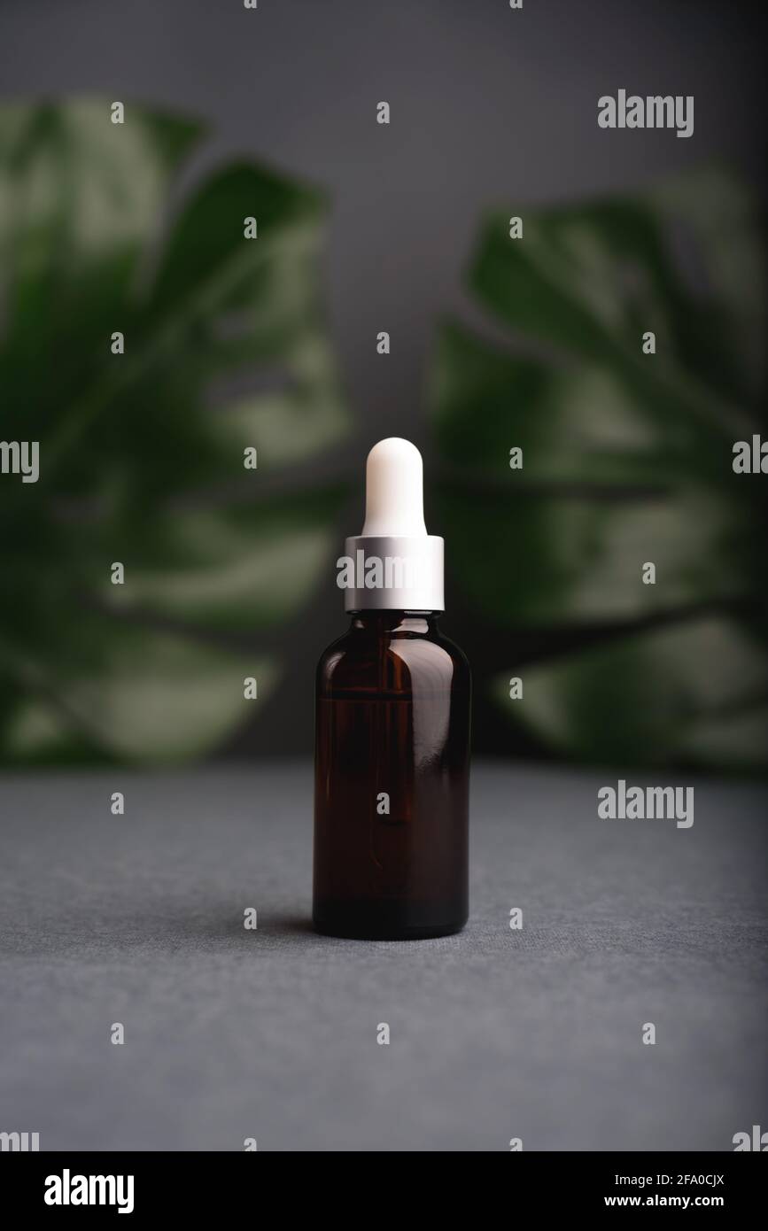 A glass dropper bottle and tropical monstera leaves on dark background ...