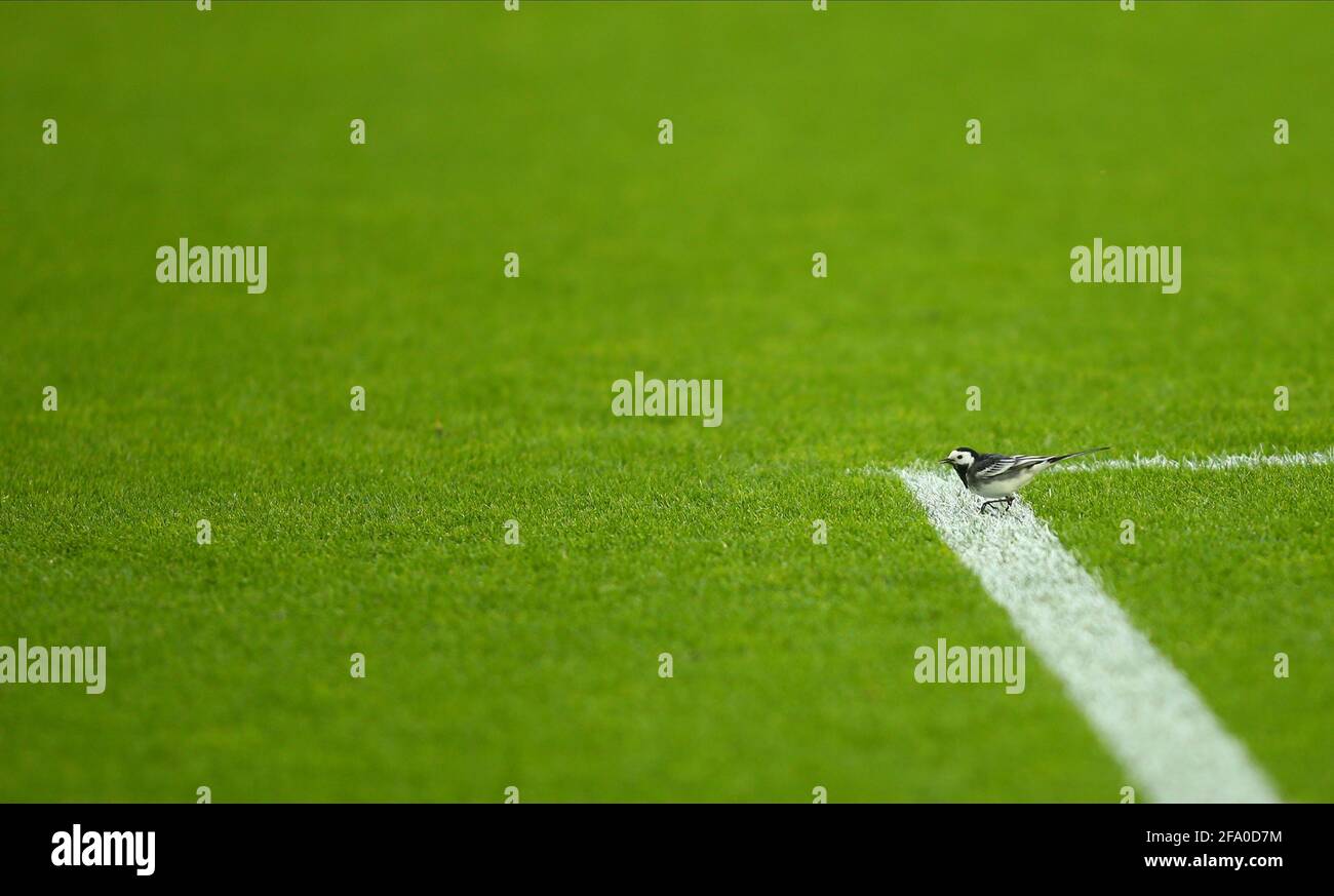 18 yard line hi-res stock photography and images - Alamy