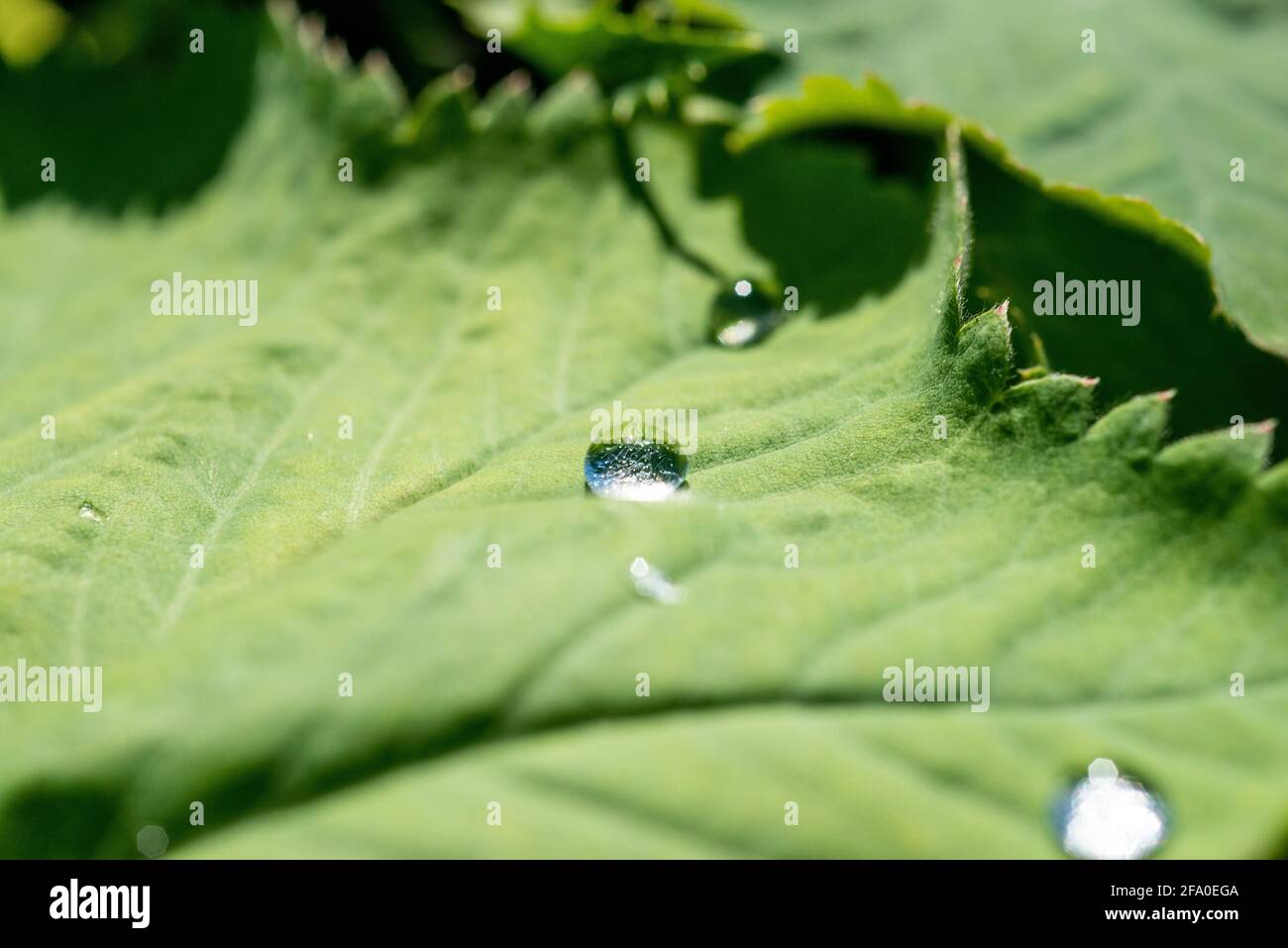 I love seeing and enhancing my taste experiences with the traditional ...