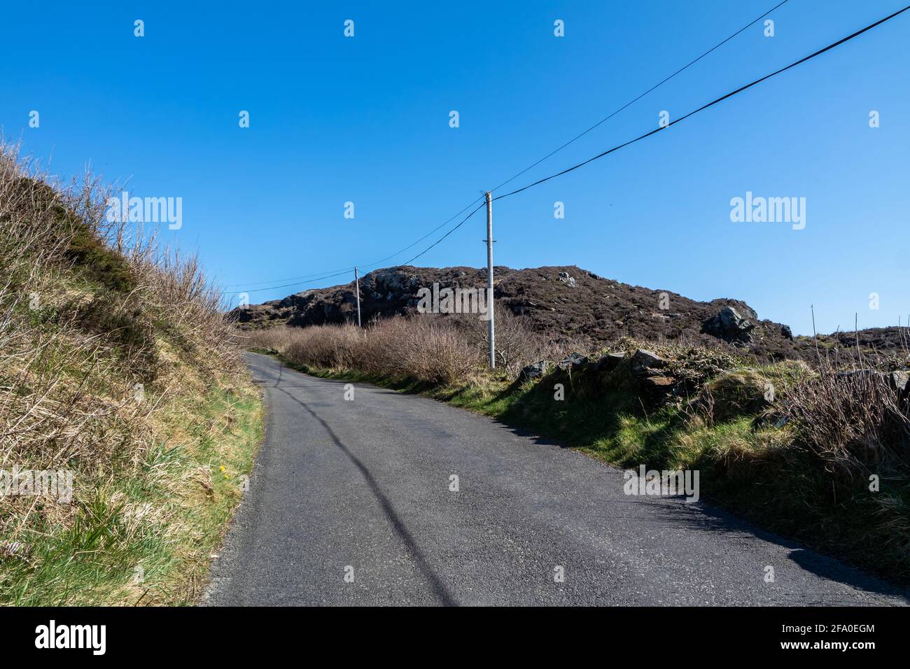 Utility Pole and lines for transmission of electricity and ...