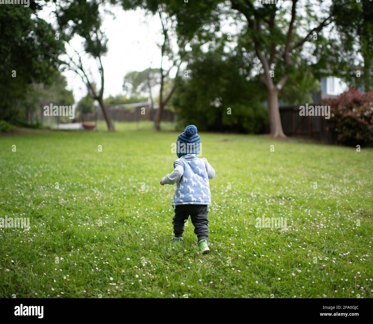 Back view of a little boy running in the green park Stock Photo - Alamy