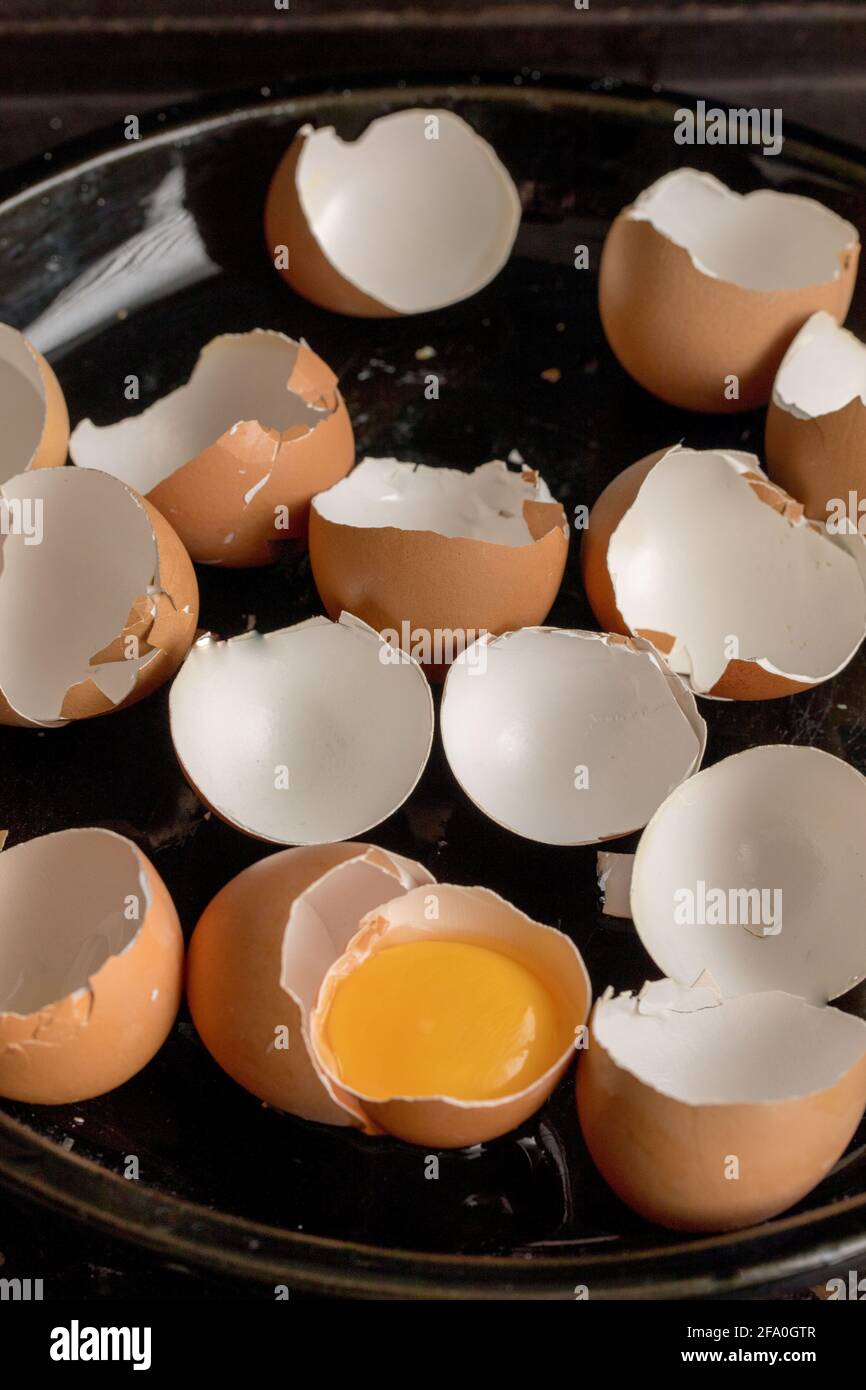 Egg shells still life hi-res stock photography and images - Alamy