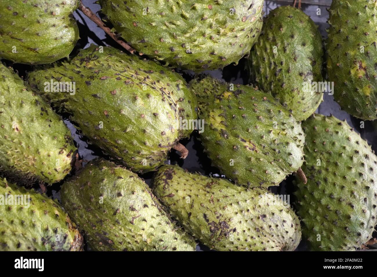Horizontal background of green fresh soursop exotic fruit in water ...