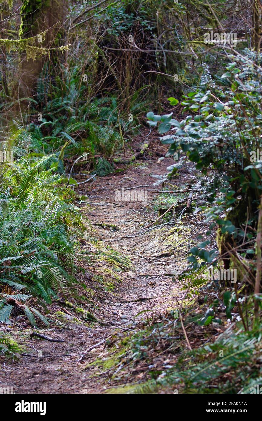 Old dirt path winding hi-res stock photography and images - Alamy