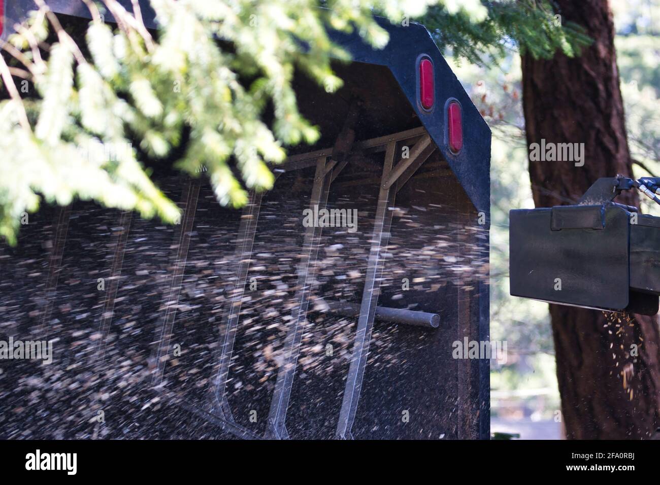 feeding large limbs of a downed tree through a woodchipper Stock Photo ...