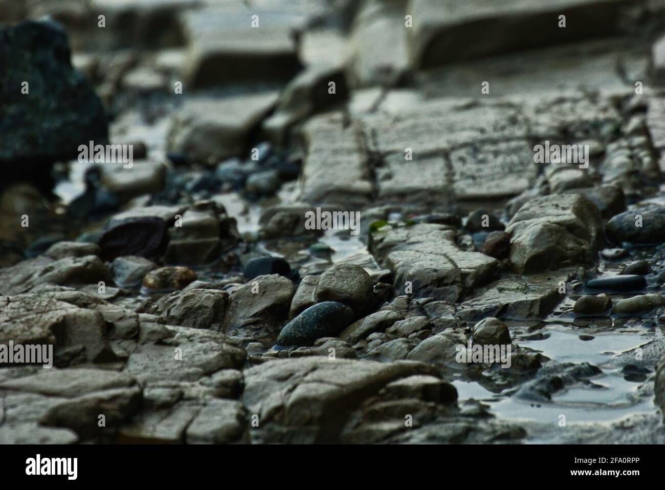 Puget sound basin hi-res stock photography and images - Alamy