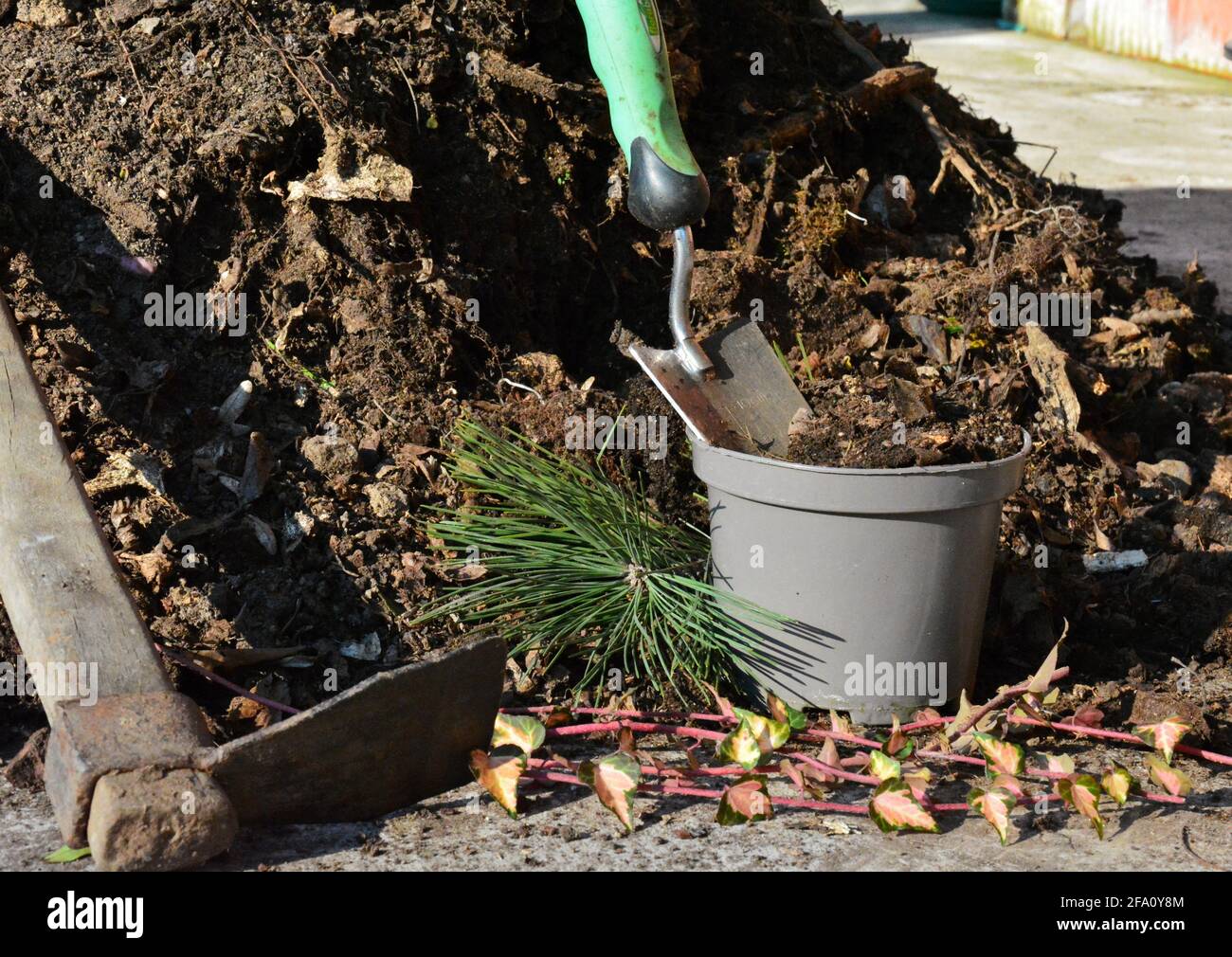 Heap of the earth, bucket, shovel, and hoe for planting a tree Stock ...